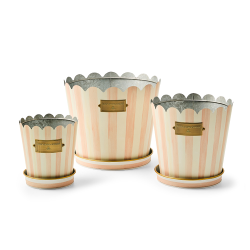 rosy stripe pots & saucers, set of 3 - MISI HOME