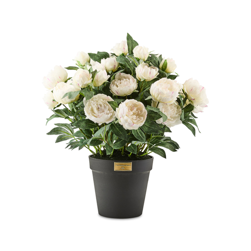 white peony urn filler - MISI HOME