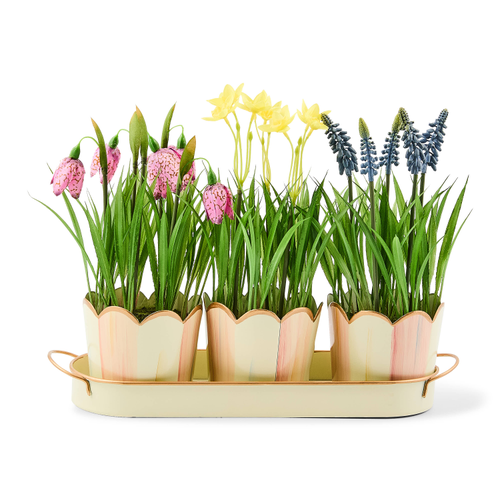 rosy stripe triple potted blooms - MISI HOME